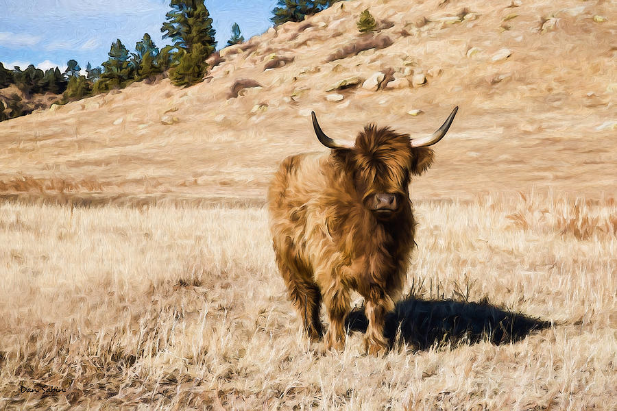 Yak Attack Photograph by Dan Sabin - Pixels