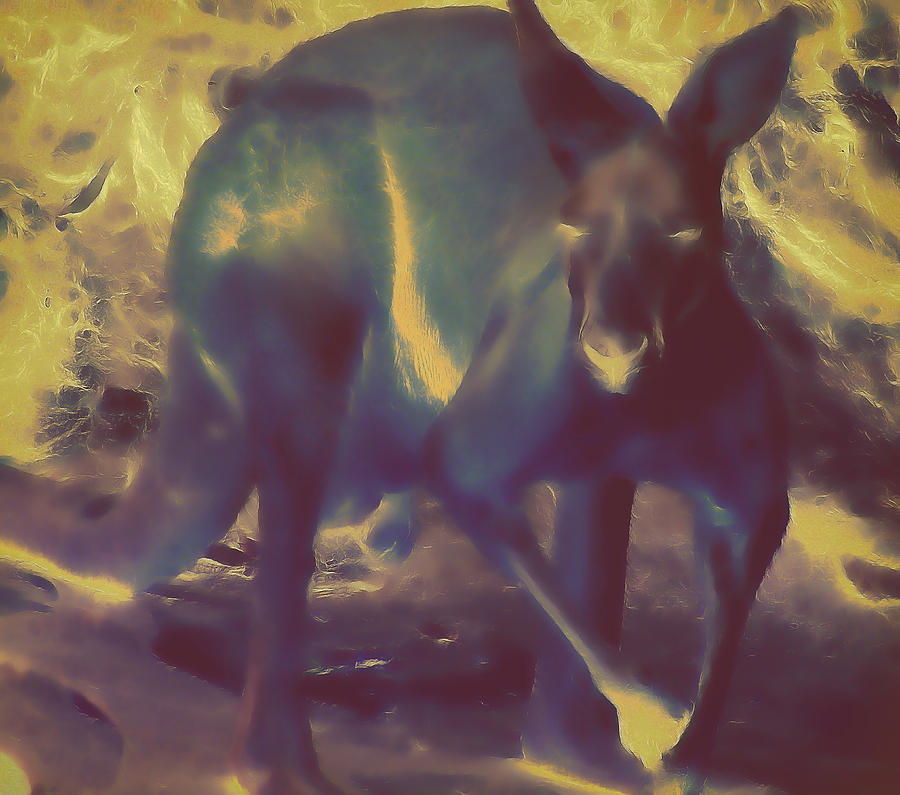 Yamuti Spirit Digital Art by Devalyn Marshall - Pixels