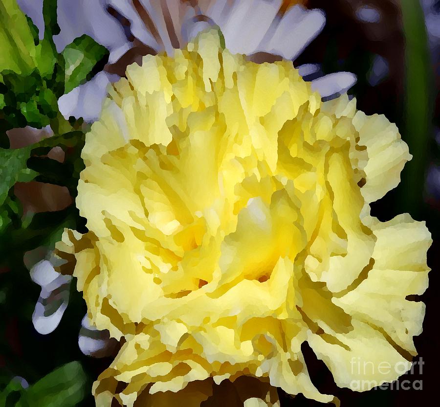 Yellow Carnation Magic Photograph by Eva Thomas - Fine Art America