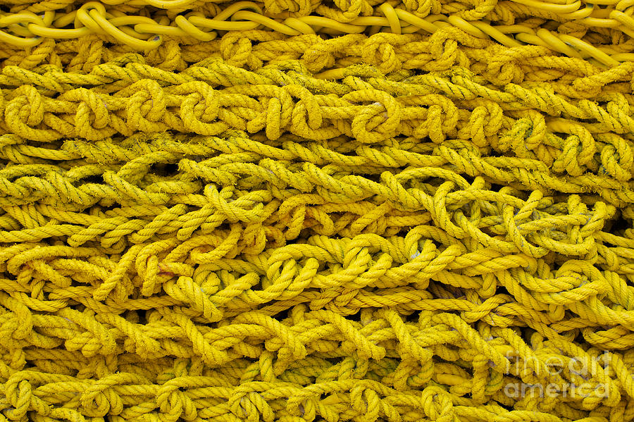 Yellow Rope Stack Photograph by Jannis Werner - Fine Art America