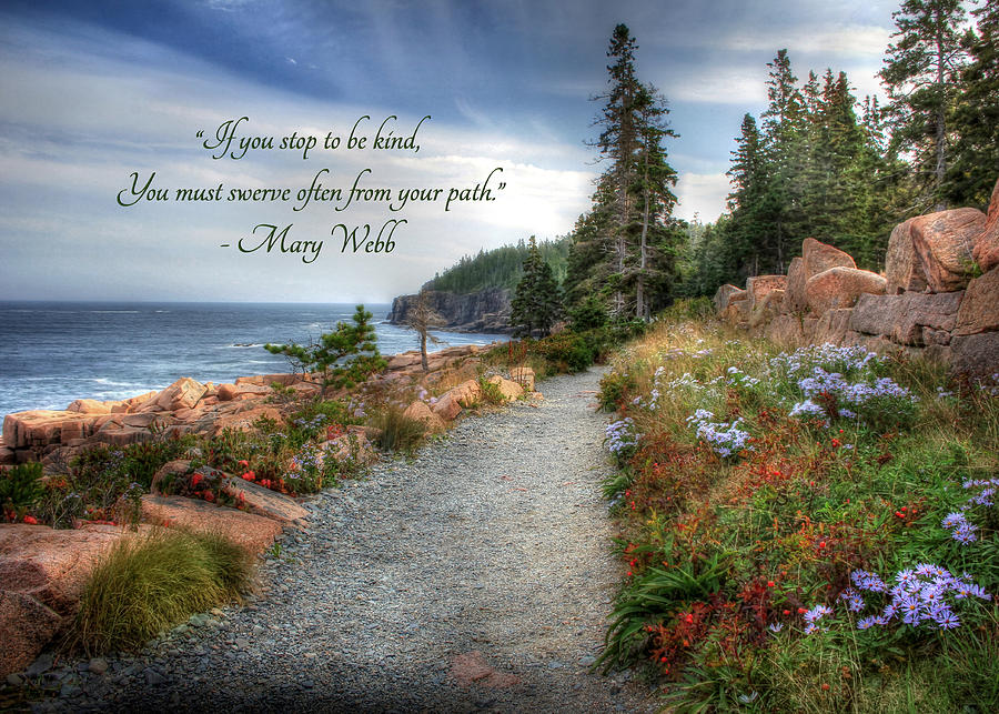 Your Path Photograph by Lori Deiter - Fine Art America