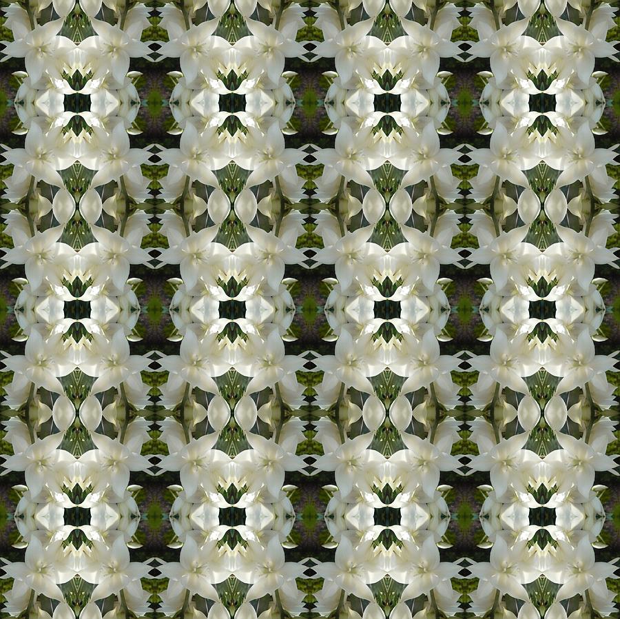 Yucca White Pattern Photograph by Nicki Bennett - Fine Art America