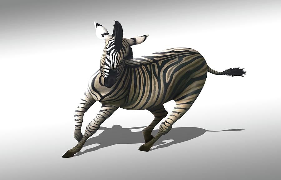 Zebra Galloping Photograph by Mark Garlick - Fine Art America