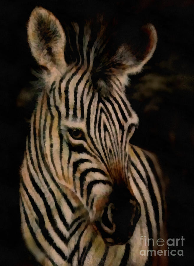 Zebra Painting by Scott Bennett - Fine Art America