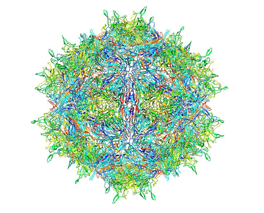 Zika Virus Particle Photograph by Alfred Pasieka - Fine Art America