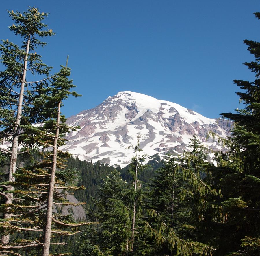 Rainier Photograph by Jim Moore - Fine Art America