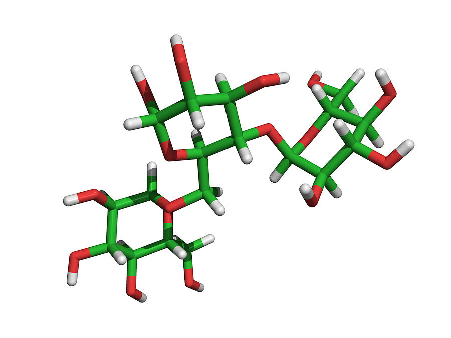 Amylopectin Molecule #1 by Science Photo Library