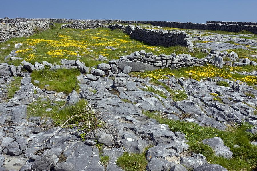 Ancient Limestone Fields #1 by Science Photo Library