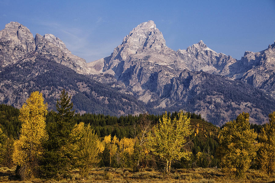 Autumn in the Tetons Photograph by Andrew Soundarajan