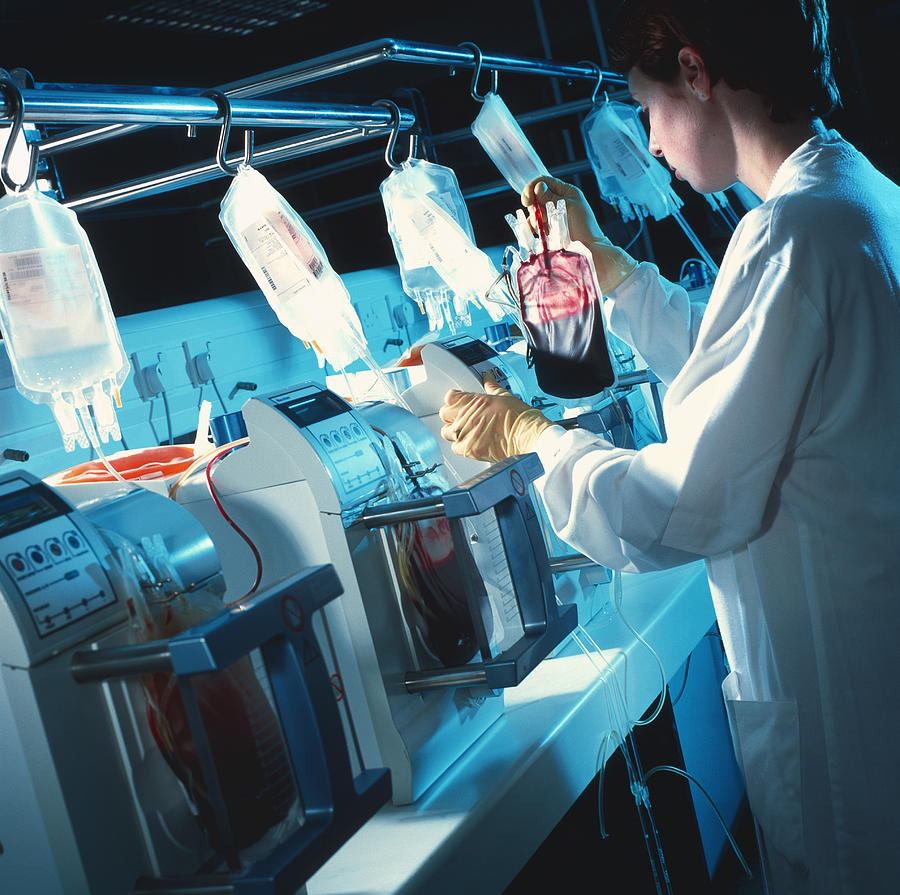 Blood Processing #1 Photograph by Tek Image - Fine Art America