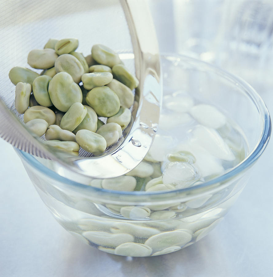 Broad Beans Photograph by David Munns - Pixels