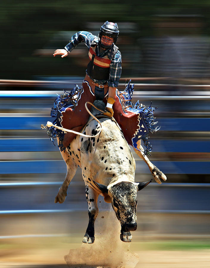 Bull Rider 3 Photograph by Sheila Kay McIntyre | Fine Art America