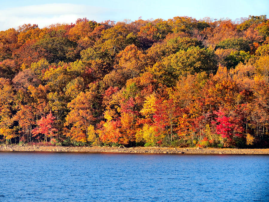 Color Explosion Photograph by Art Dingo - Fine Art America