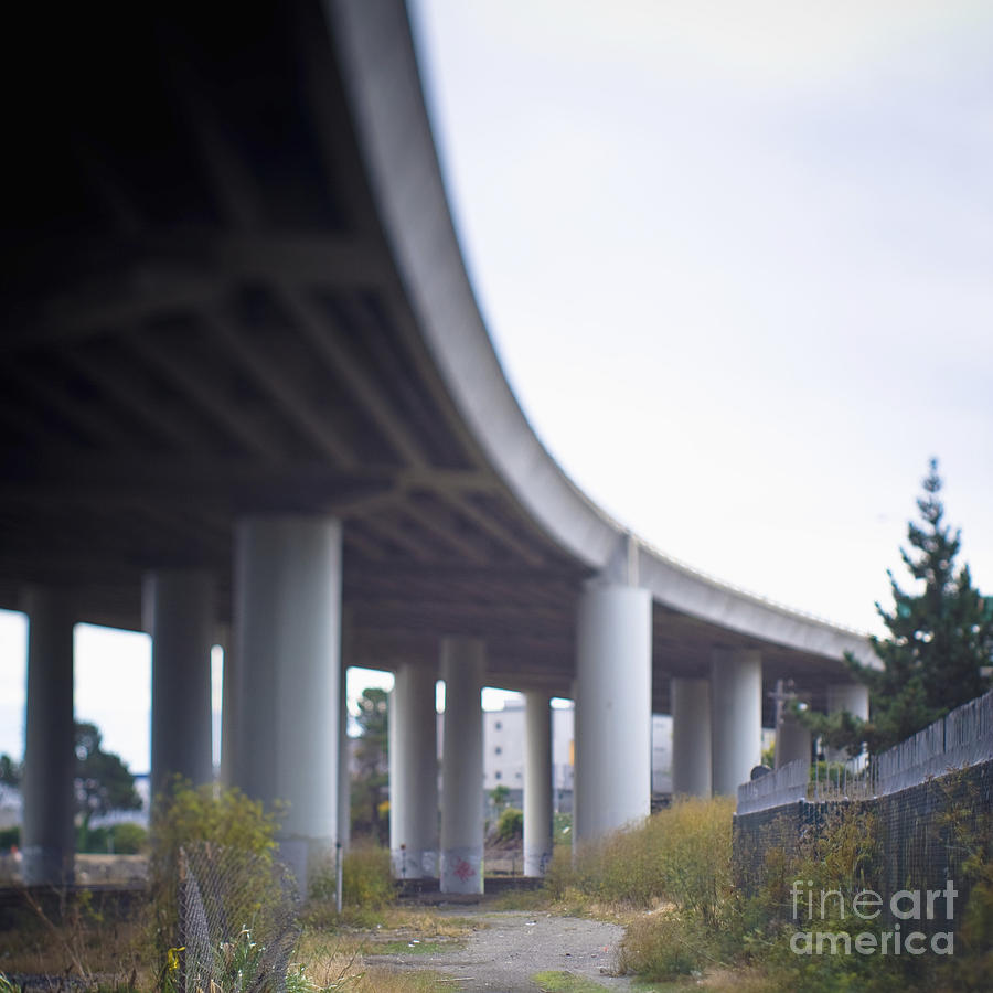 Columns Supporting Freeway Overpass Photograph by Eddy Joaquim - Pixels
