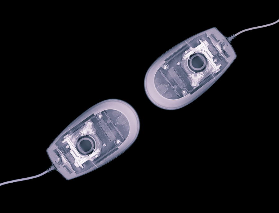 Computer Mice, X-ray Artwork Photograph by Mark Sykes - Fine Art America