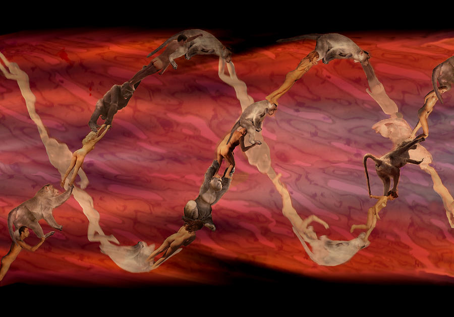 DNA and evolution Digital Art by E Kraizberg - Fine Art America