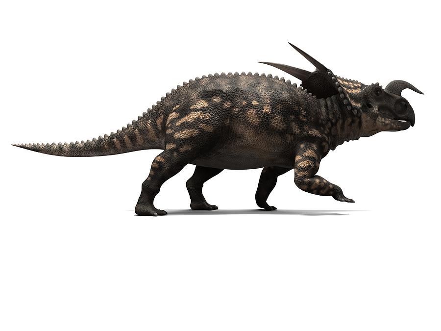 Einiosaurus Dinosaur Planet