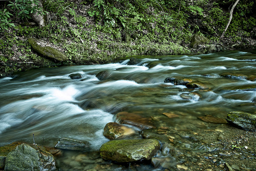 Flowing Stream Photograph by Wayne Denmark - Fine Art America