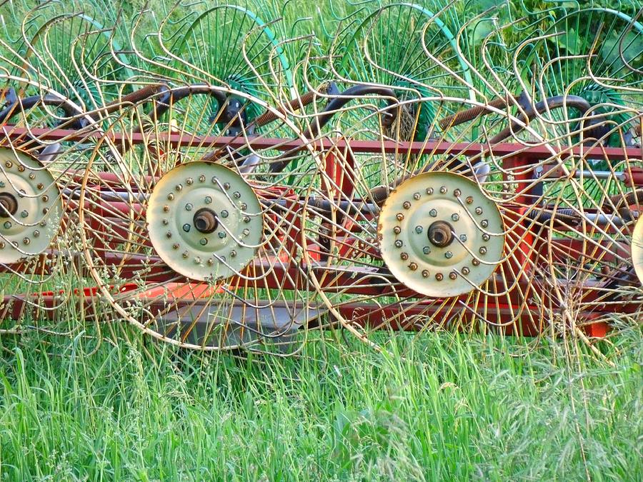 Implement Or Art #1 Photograph by Dennis Comins - Fine Art America