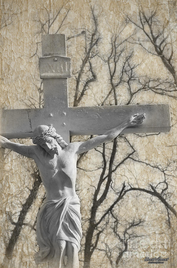Jesus Photograph By David Arment Fine Art America