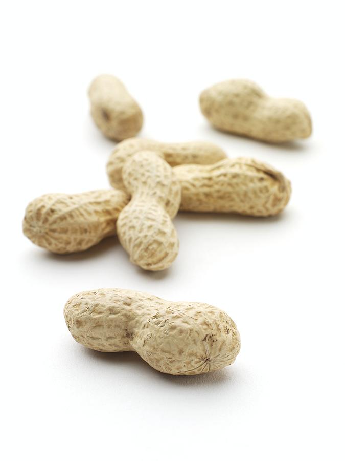 Monkey Nuts Photograph by Jon Stokes - Pixels