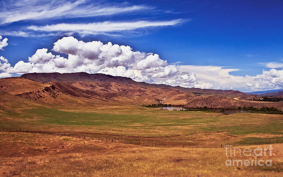 Open Range Photograph by Robert Bales - Fine Art America
