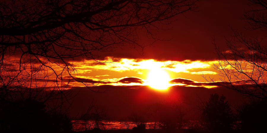 Radiance Photograph by Stacy Root - Pixels