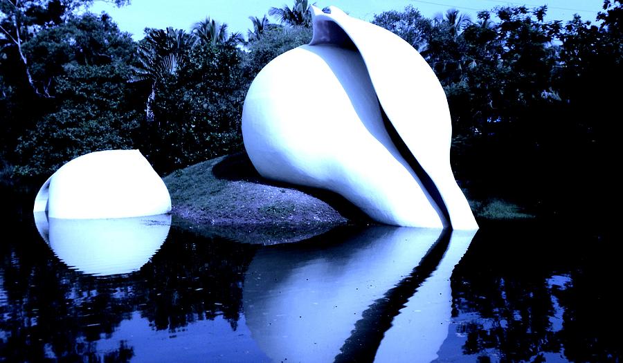 Sacred Shell Photograph by Be Aimless - Fine Art America