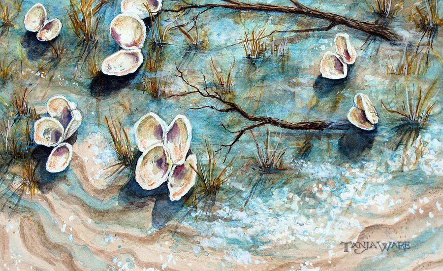 Shell Shadows Painting by Tanja Ware - Fine Art America