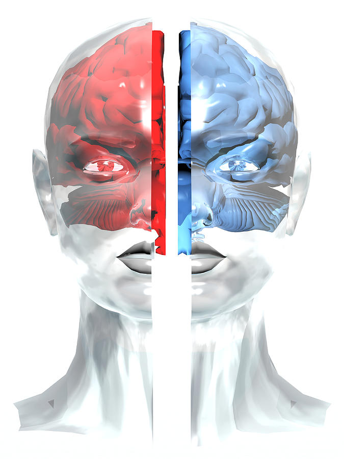 Split Brain, Conceptual Artwork #1 Photograph by Laguna Design - Pixels