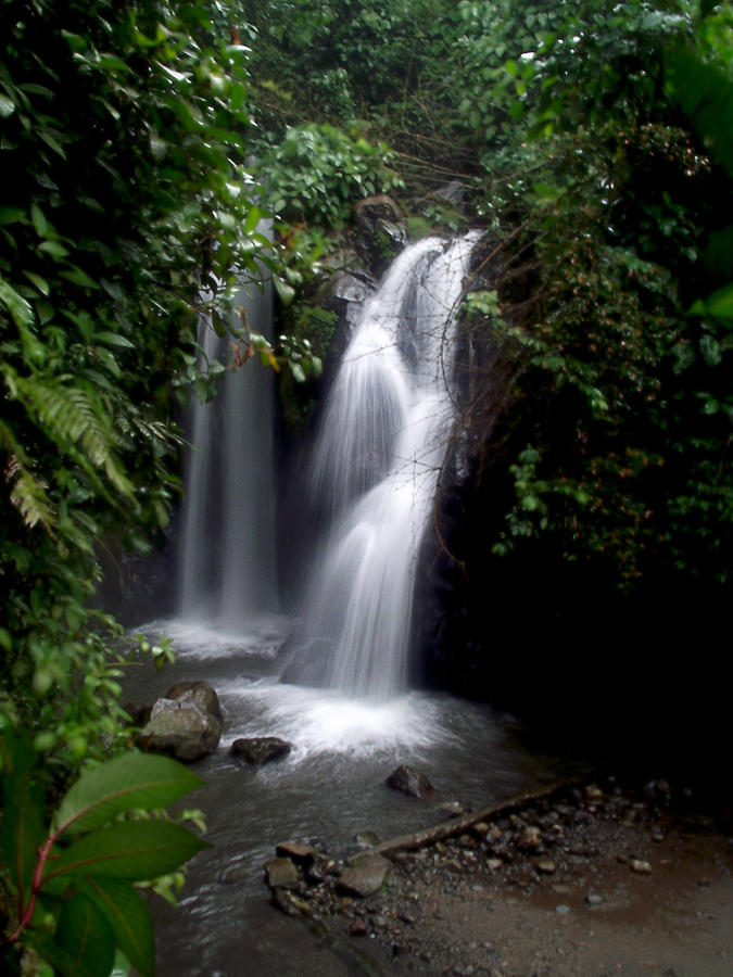 Suban Photograph by Ekojanu Sp | Fine Art America