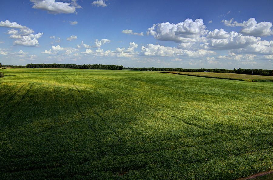 Summer Fields Photograph by Steven Smith - Fine Art America