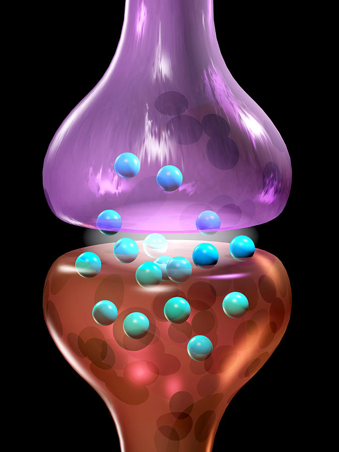 Synapse, Computer Artwork #1 by Science Photo Library