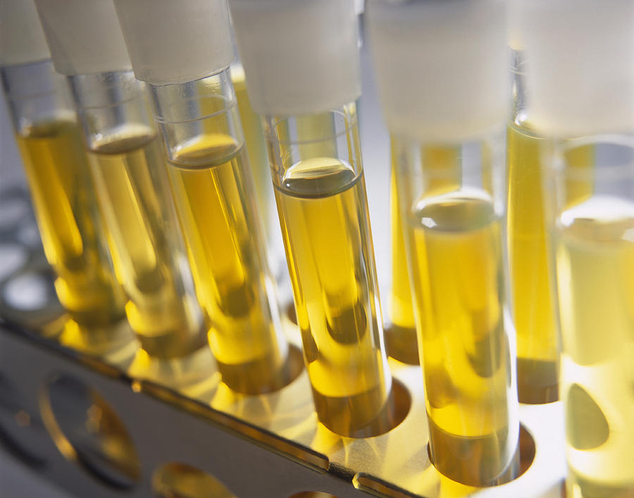 Test Tubes Photograph by Tek Image