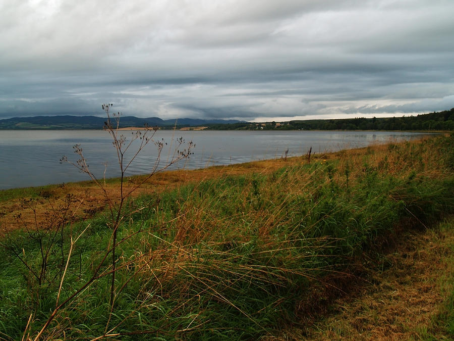 The Beauly Firth Photograph by Steve Watson