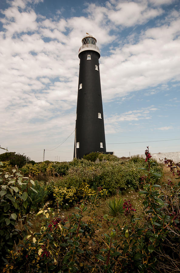 The Old Lighthouse Photograph by Dawn OConnor