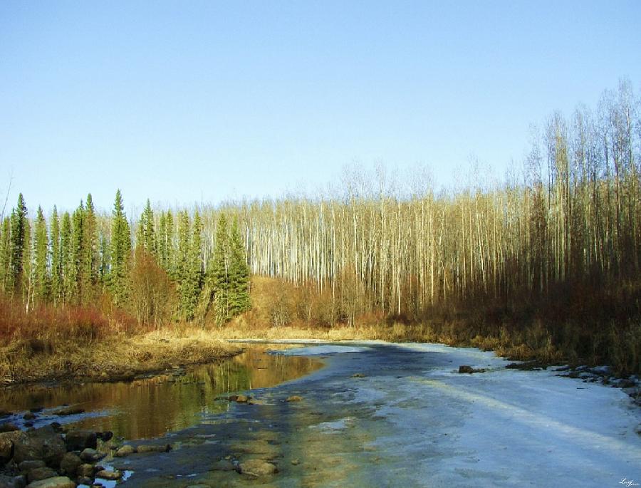 The Spring Thaw in Northern Alberta Photograph by Luana Juknies - Fine ...