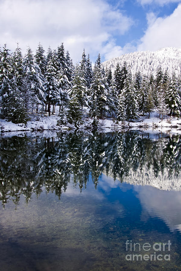 Winter Reflection Photograph by Aleksander Suprunenko - Fine Art America