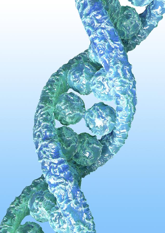Dna Molecule, Artwork #10 by Science Photo Library