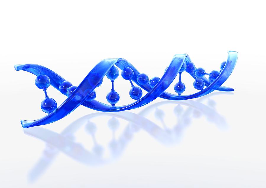 Dna Molecule, Artwork Photograph by David Mack | Fine Art America