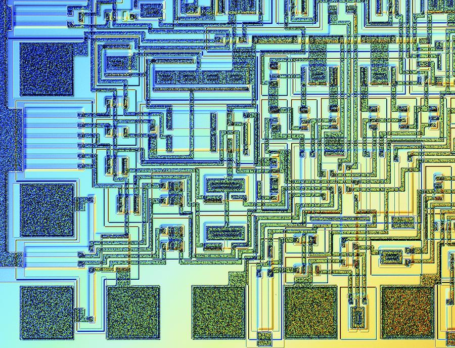 Microchip, Light Micrograph #12 Photograph by Pasieka - Pixels