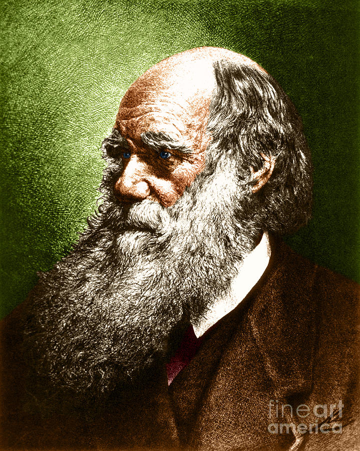 Charles Robert Darwin, English Photograph by Science Source - Pixels