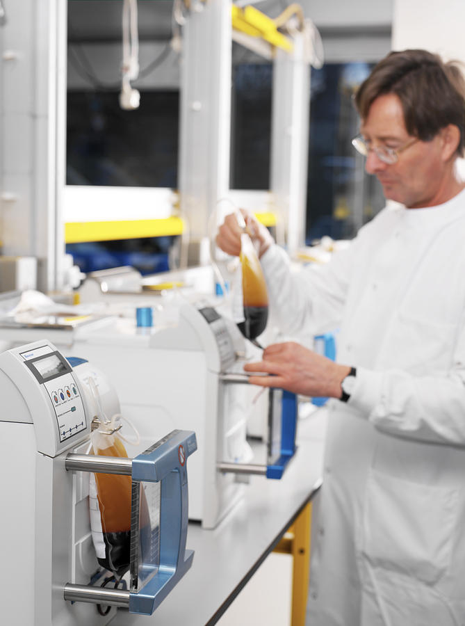 Donor Blood Processing Photograph by Tek Image | Fine Art America