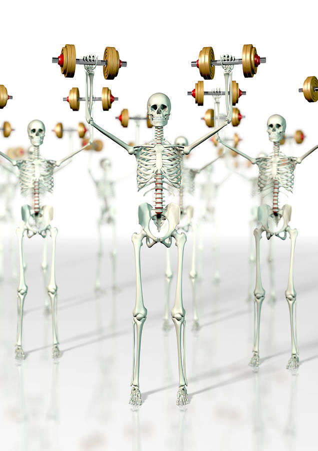 Bone Strength Photograph by David Mack | Pixels