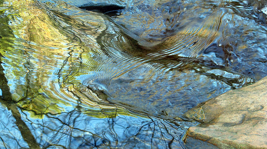 Creek Reflections Photograph by Dulce Levitz - Fine Art America