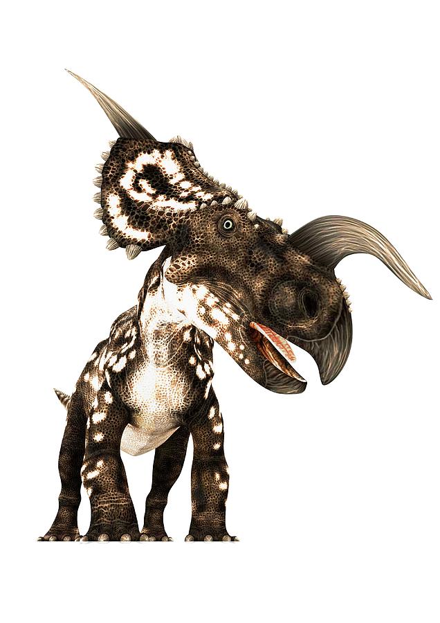 Einiosaurus Dinosaur, Artwork Photograph by Animate4.comscience Photo ...