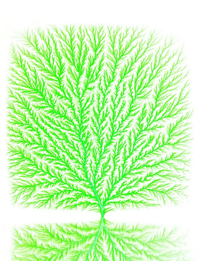 Electron Tree Photograph by Tek Image - Pixels