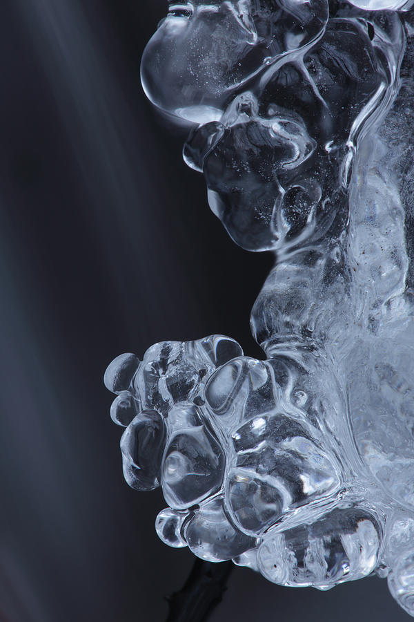 Fragile ice formation Photograph by Ulrich Kunst And Bettina Scheidulin ...