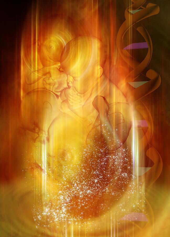 Human Cloning, Conceptual Image Photograph by Victor Habbick Visions ...