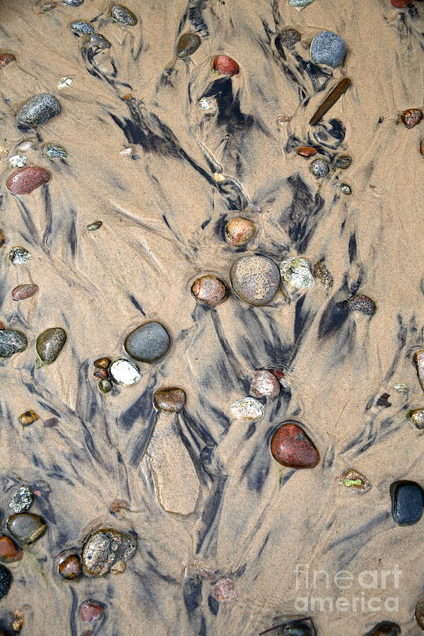 Magnetic Sand Photograph by Ted Kinsman